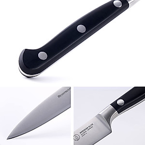 Messermeister Meridian Elite 4” Spear Point Paring Knife - Fine German Steel Alloy Blade - Rust Resistant & Easy to Maintain