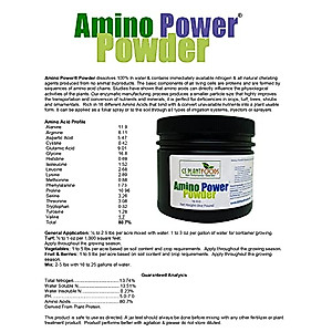 Amino Power Powder Nitrogen Fertilizer - Plant Based High Nitrogen Fertilizer for Plants - All Natural Nitrogen Source and chelating Agent - Suitable for Turf, Vegetables, Fruits & Berries