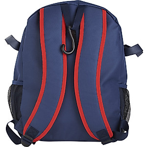 Rawlings | REMIX Backpack Equipment Bag | T-Ball & Youth Baseball / Softball | USA