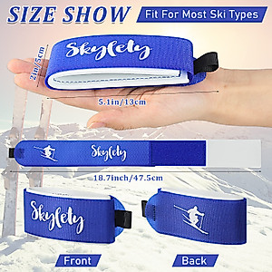 10 Pieces Ski Strap Fasteners Tape Adjustable Ski Wraps Ties for Carrying Ski Gear Winter Christmas (Black, Blue, Red, Gray, White)