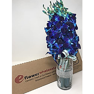 eflowerwholesale - Premium Cut Blue Orchids (10 stems Orchid with Rhinestone Mesh Ribbon Vase)