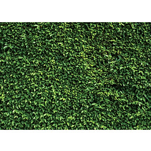 SJOLOON Green Leaves Backdrop Grass Backdrop Natural Green Lawn Party Photography Backdrop Birthday Newborn Baby Lover Wedding Photo Studio Props 10923 (10x8FT)