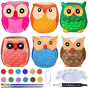 6 Sets DIY Ceramic Owl Succulent Pots Figurines Paint Craft Kit Unpainted Ceramic Bisque Paintable Owl Ceramic Flowerpots with Drainage Hole Ready to Paint for Kids Classroom Craft Project Acticity