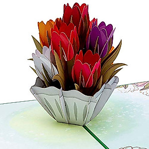Paper Love 3D Pop Up Card, Tulips, Handmade 3D Popup Greeting Cards, For Thinking of You, Thank You, Sympathy, Wedding, Anniversary, Get Well, Just Because, Mother's Day, Valentine's Day, All Occasion, 5" x 7"