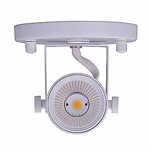 CLOUDY BAY LED Flush Mount Ceiling Spot Light,CRI90+ 8W 600lm 3000K Warm White Dimmable,Adjustable Tilt Angle Ceiling Light Fixture,White Finish