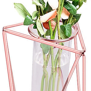 Test Tube Vases for Flowers, Glass vase with Metal Stand, Hydroponics Clear Planter Metal Glass Vase Hinged Art Vase Plant Holder Flower Vase for Modern Home Office Garden Wedding Decor(Rose Gold)