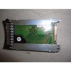 IBM 42D0638 300GB 10K 6GBPS SAS 2.5 SFF HS HDD - 42D0637 (Renewed)