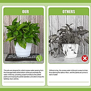2 Pack Bonsai Humidity Tray 9 Inch Drip Tray Rectangular Plastic Plant Water Catcher Tray Plant Saucers for Indoors and Outdoors Cactus, Succulents, Bonsai Tree, Houseplants Drainage and Moisture