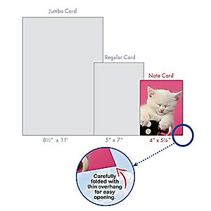 The Best Card Company - 10 Adorable Blank Cat Cards (4 x 5.12 Inch) - Cute Pet Kittens, Assorted Bulk Notecard Set - Cup-Cats M3969