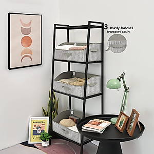 GRANNY SAYS Bundle of 3-Pack Trapezoid Closet Storage Bins & 2-Pack Socks Storage Organizers