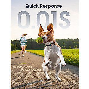 Dog Training Collar with Remote, Smart Dog Shock Collar with 3 Training Modes and Training Icons, Waterproof Electric Dog Shockers for Large and Medium Dogs (8-120 LBS)