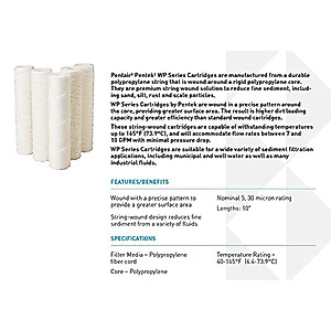 Pentek TS-101L 1/4" In-line Carbon and Polyphosphate Filter Cartridge