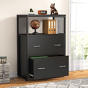 TRIBESIGNS WAY TO ORIGIN 2 Drawer File Cabinet with Lock, Large Lateral Filing Cabinet for Letter/Legal / A4 Size, Wood Printer Stand with Open Storage Shelves for Home Office (Black)