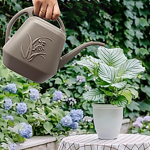 VKPLITE Plant Watering Can - 1/2 Gallon