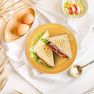 OAMCEG 12 Pack Plastic Plates Reusable 9 Inches Unbreakable Eco-Friendly Lightweight Wheat Straw Plates, Salad Plates, Camping Plates, Dinner Plates, Dishwasher & Microwave Safe, BPA FREE