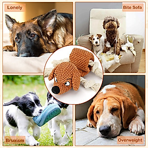 Letsmeet Dog Toys,Squeaky Dog Chew Toy with Crinkle Paper,Interactive Tough Plush Rope Toys for Small Medium Large Dogs with Gift Boxes