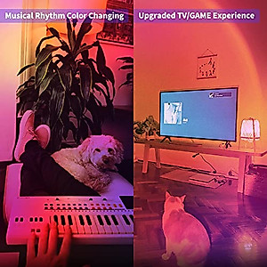 MagicLight Smart Light Bulb Works with Alexa Google Home, A19/E26 800LM Color Changing Light Bulb, WiFi & Bluetooth 5.0, Dimmable, RGBCW, Music Sync, APP Control, No Hub Required