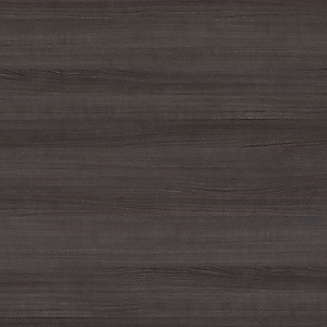 Bush Business Furniture Studio C 2 Drawer Mobile File Cabinet in Storm Gray