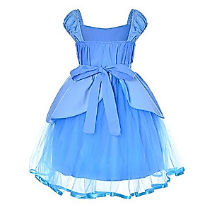 Party Chili Princess Fairy Costume Toddler Girls Birthday Dress Up with Tiara (2T 3T)