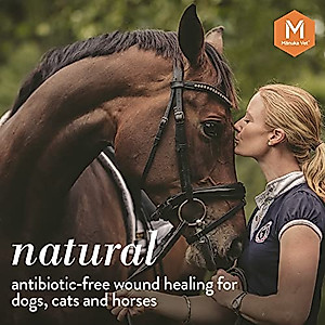 Manuka Vet Skin & Wound Gel, 15+ UMF Manuka Honey, Rapid Healing & Skin Repair Treatment for Dogs, Cats and Horses, 0.71oz (20g) Tube