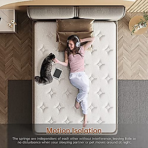 TeQsli Queen Mattress 12 Inch, Cool Eggshell Memory Foam and 7 Zone Pocket Innerspring Hybrid Mattress in a Box, Pressure Relief & Supportive Queen Bed Mattress, Breathable Cover, 100 Nights Trial