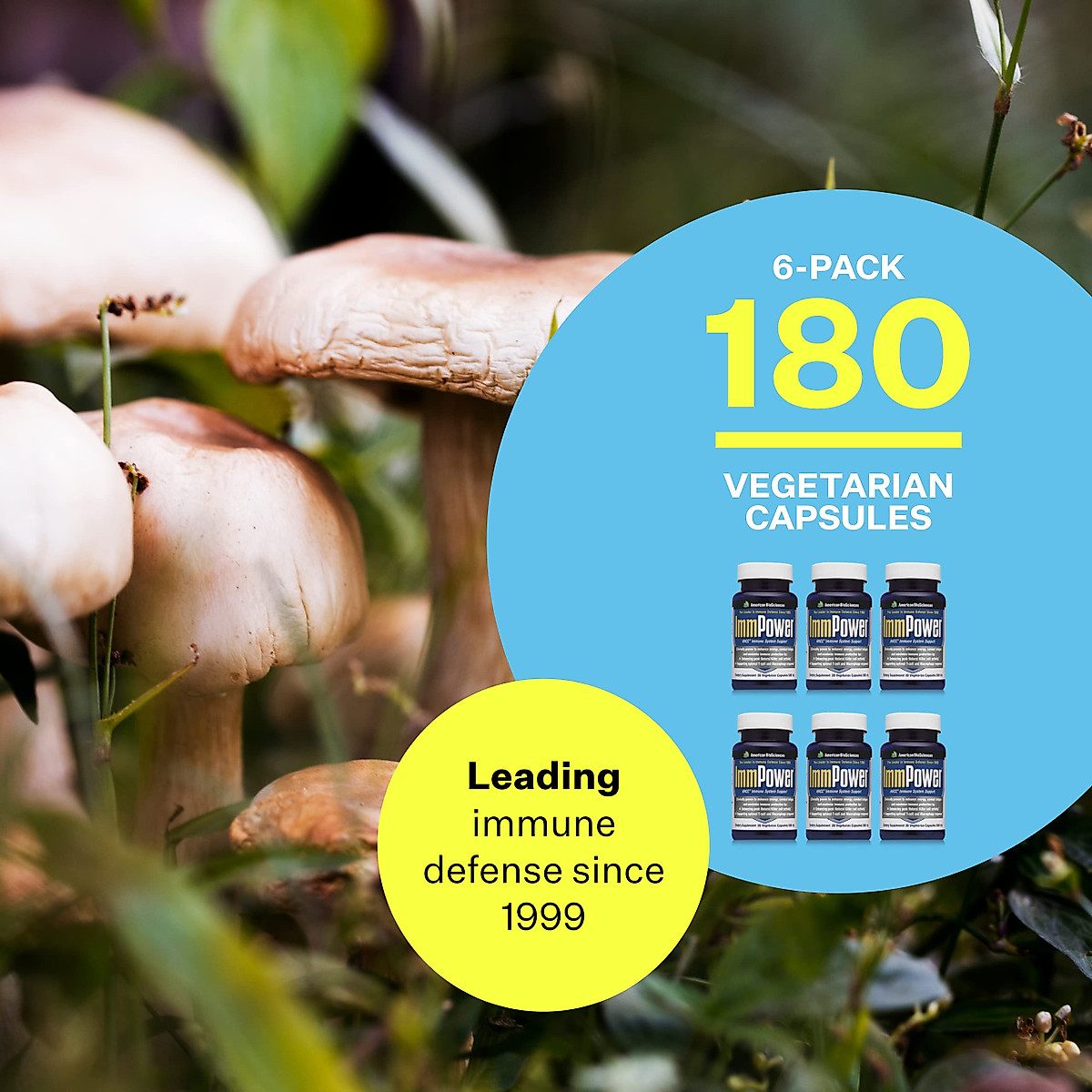 American BioSciences ImmPower AHCC Supplement 6-Pack, Enhanced Immune Support, Natural Killer Cell Activity and Cytokine Production, 30 Vegetarian Capsules, 500 milligrams per Capsule