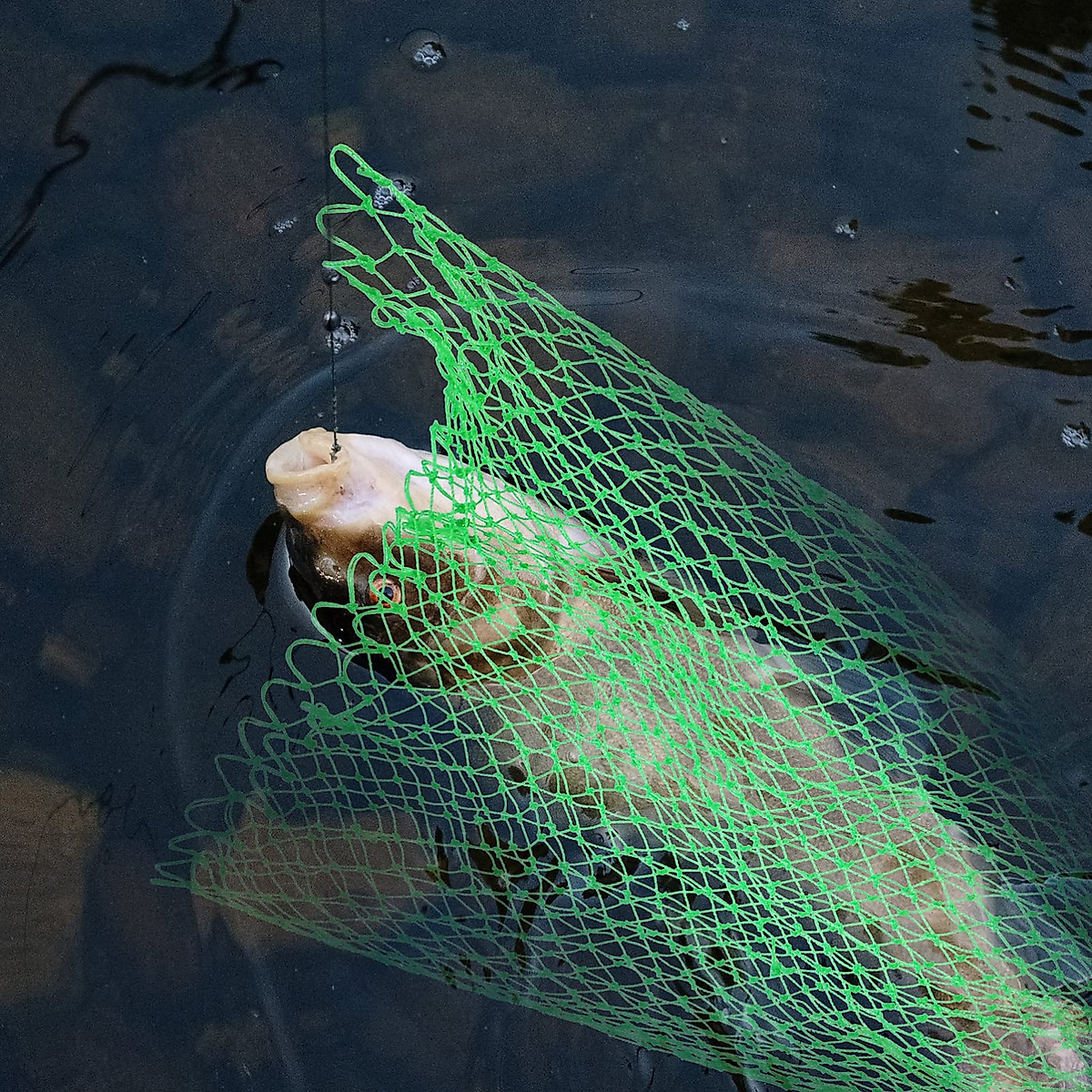 BESPORTBLE 1pc dip net Fishing baits Bait Fish net Floating Fish Keeper net fishnets mesh Fishing cage Fish Bait net Landing Net for Fishing Small Fishing Net Fishing Tool Nylon Strand Diving