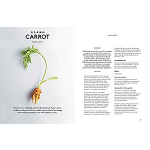 Root to Bloom: A Modern Guide to Whole Plant Use