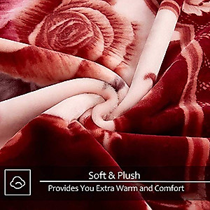 JYK Heavy Korean Mink Fleece Blanket, 5 LB - 2 Ply Reversible 520GSM Silky Soft Plush Warm Blanket for Autumn Winter (Queen, Flower/Burgundy)