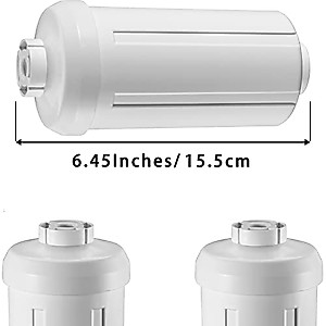 Water Filter Replacement for Berkey- Black Filters and Fluoride Filters Combo Pack Compatible with Berkey Water Filters Replacement- Pack of 4