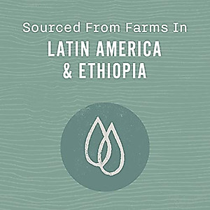 Allegro Coffee Decaf Organic Espresso Bel Canto Whole Bean Coffee, 12 oz