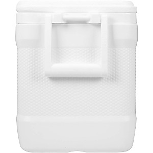 Igloo 25 Quart Marine Contour , White
