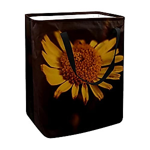 Yellow Chrysanthemum Print Collapsible Laundry Hamper, 60L Waterproof Laundry Baskets Washing Bin Clothes Toys Storage for Dorm Bathroom Bedroom