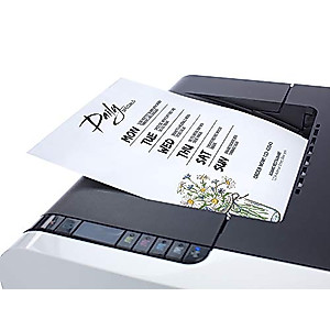 SamuelIStamper Great Papers! Mason Daisies Letterhead Stationery, 8.5" x 11", 80 count, Inkjet and Laser Printer Compatible (2020147)"