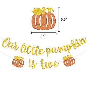 Fall Pumpkin 2nd Birthday Party Decoration Our Little Pumpkin Is Two Banner Cake Cupcake Topper Glitter Autumn Birthday Party Supplies