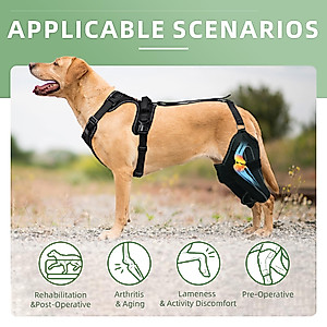 LISPOO Dog Knee Brace for Torn Acl Hind Leg, Luxating Patella, Cruciate Ligament, Dog Acl Knee Brace Support Back Leg with Arthritis Pain, Acl Brace for Dogs Rear Leg (XL)