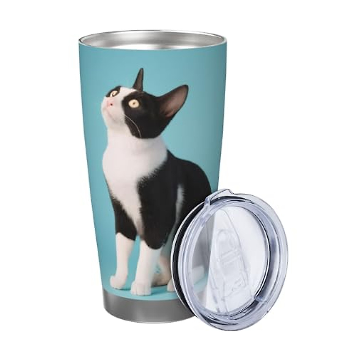 EKPRAVDKTF Cat 20oz Insulated Stainless Steel Tumbler With Lids And Straws, Double Wall Vacuum Travel Coffee Mug, Thermal Cup For Cold & Hot Drinks, Reusable Metal Straw & Brush