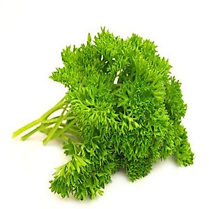 Triple Curled Parsley Seeds for Planting, 300+ Seeds Per Packet, (Isla's Garden Seeds), Non GMO & Heirloom Seeds, Botanical Name: Petroselinum crispum, Great Herb Garden Gift