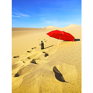 Thinksport Stainless Steel Sports Bottle, Black, 25 oz