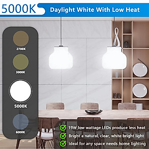 Maylaywood A21 LED Light Bulbs, 150 Watt Equivalent LED Bulb, Daylight White 5000K, 2600LM, E26 Base, Non-Dimmable, 19W Bright White LED Bulb, 4-Pack