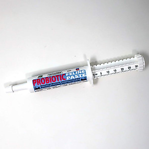Catzymes Feline Probiotic Paste Oral Palatable Live Microorganisms 2 Billion CFU/gm (30 Gram)