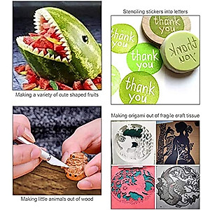 DIYSELF 125 Pcs Exacto Knife Craft Knife, Exacto Knife Set with 110 Pcs Exacto Blades and 10 Pcs Utility Blades, Precision Knife for Cutting, Scrapbooking, Stencil, Fondant, Leather, Hobby Knife