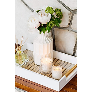 AGRARIA Scented Candles, Long-Lasting Premium Soy Wax Candles, Vegan, Scented Candles for Home, Elegant Home Fragrance Scented Candles Gifts, 7oz