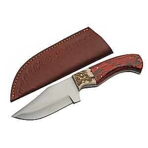Redtail Stainless Steel Blade Wood Handle Stag Bolster 9 inch Hunting Knife