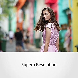 Sony FE 135 mm f/1.8 GM | Full-Frame, Telephoto, Prime Lens (SEL135F18GM)