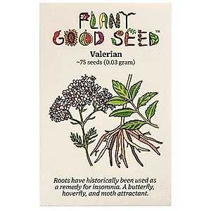 Valerian (Valeriana officinalis) Seeds - Pack of 75, Certified Organic, Non-GMO, Open Pollinated, Untreated Herb Seeds for Planting – from USA