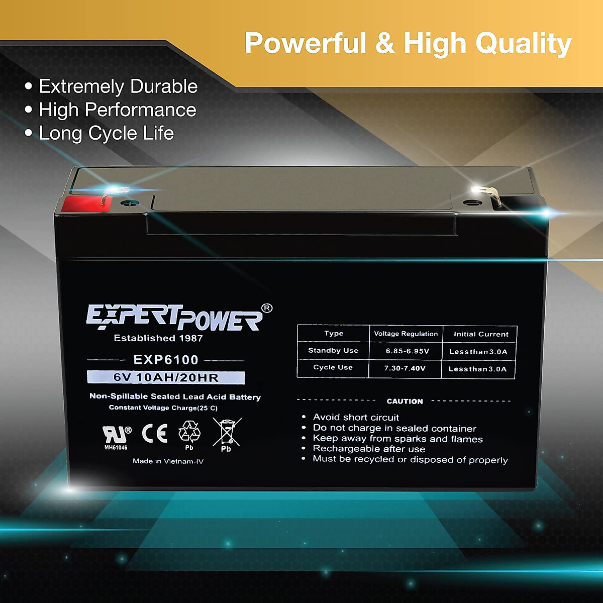 ExpertPower 6V 10AH Sealed Lead Acid (SLA) Battery with F1 Terminal