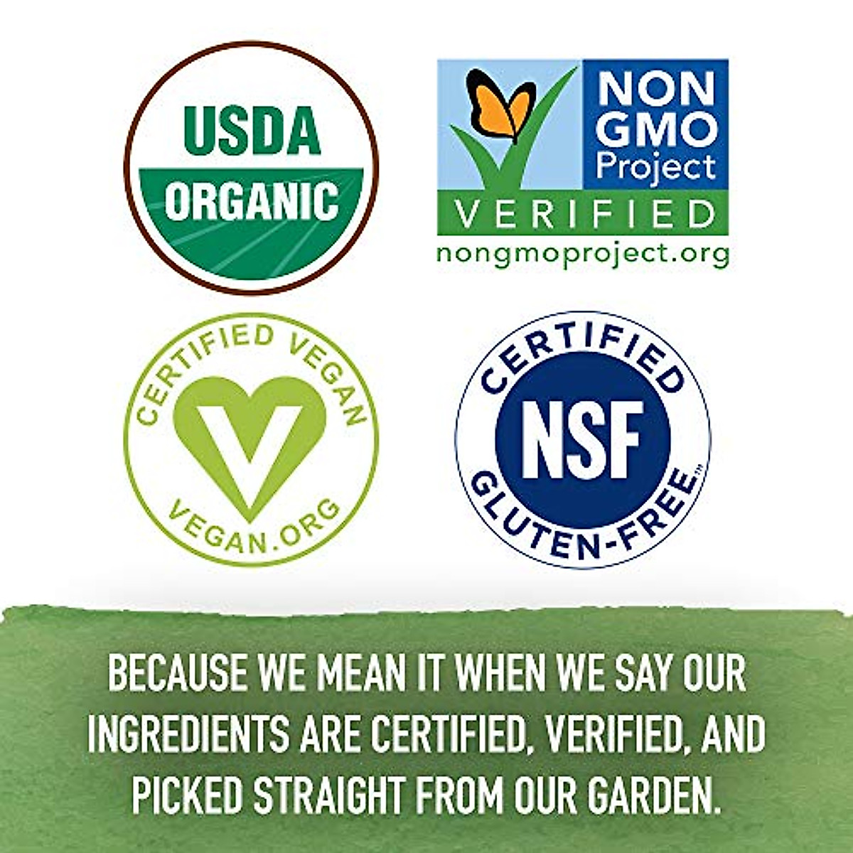 Garden of Life Elderberry Zinc Immune Support for Adults and Kids 12 & Older, mykind Organics Cough & Mucus Immune Syrup 5 fl oz with Ivy Leaf, Vitamin C and Echinacea, No Added Sugars