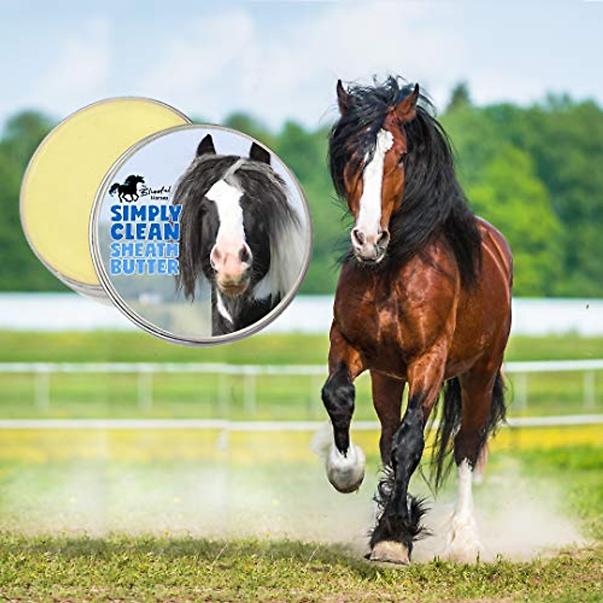 The Blissful Dog Horses Simply Clean Sheath Butter All Natural Cleansing for Your Horse, 4-Ounce