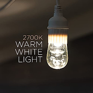 Enbrighten Classic Warm White String Lights, 48ft White Cord, 24 Shatterproof Acrylic Bulbs, Weatherproof, Outdoor String Lights, 35608